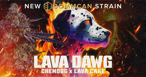 CommCan Millis (Recreational) | 1525 Main Street Millis, MA 02054